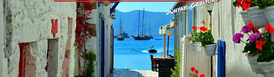 Turizm acenteleri Canik Tur, Altınordu, foto
