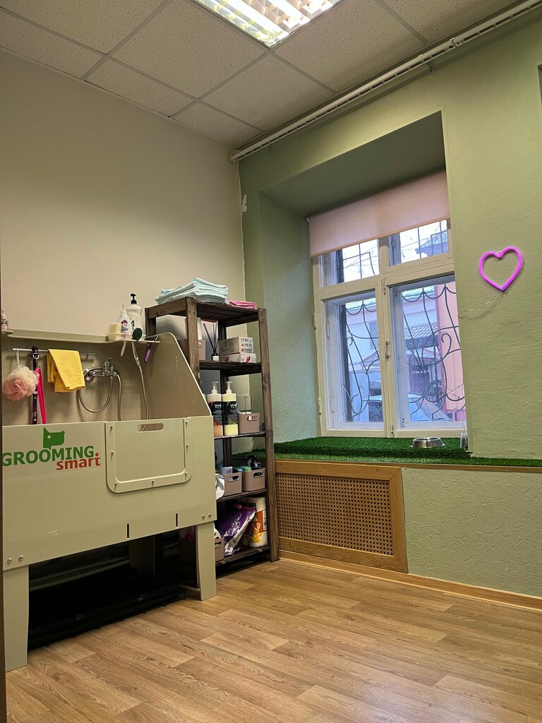 Evcil hayvan kuaförleri Студия груминга Анастасии Касаткиной, Yaroslavl, foto