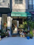 Mars Crops (İstanbul, Kadıköy, Feneryolu Mah., Bahçeler Sok., 1E), çiçekçiler  İstanbul'dan