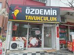Özdemir Tavukçuluk&Şarküteri (İzmir, Bayraklı, 7020 Sok., 241A), kasap, şarküteri  İzmir'den
