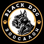 Black Dog (ulitsa Shaumyana No:8), evcil hayvan kuaförleri  Tuapse'den