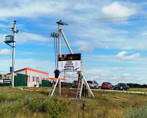 Balık ve deniz ürünleri Тамбовский Осетр, Tambovskaya oblastı, foto