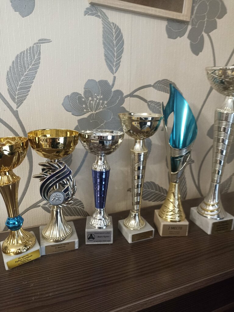 Spor kulüpleri Подольская школа Кёкусинкай карате Фирсанова Алексея, Podolsk, foto