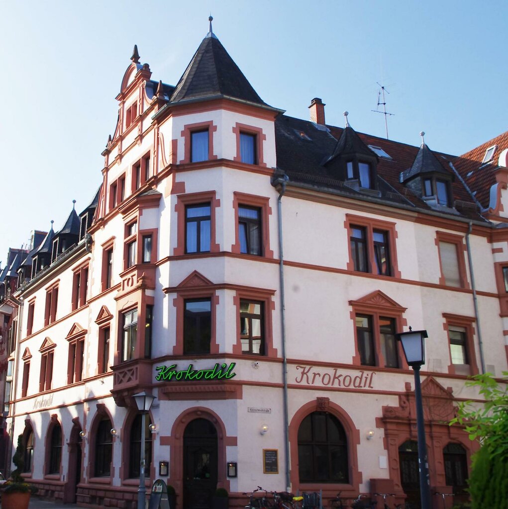 Otel Hotel Krokodil, Heidelberg, foto