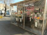 An Bouquet (Komitas Avenue No:55), çiçekçiler  Erivan'dan
