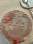 Пасека Ананьевых (Glavnaya Street No:47, derevnya Matveykovo), bal ve arıcılık firmaları  Tverskaya oblastından