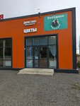 Дариссимо (Komarinskaya ulitsa No:34А), kutlama ürünleri  Ufa'dan