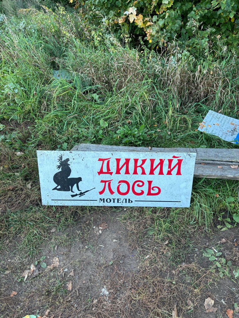 Piknik alanı Дикий лось, Tataristan, foto