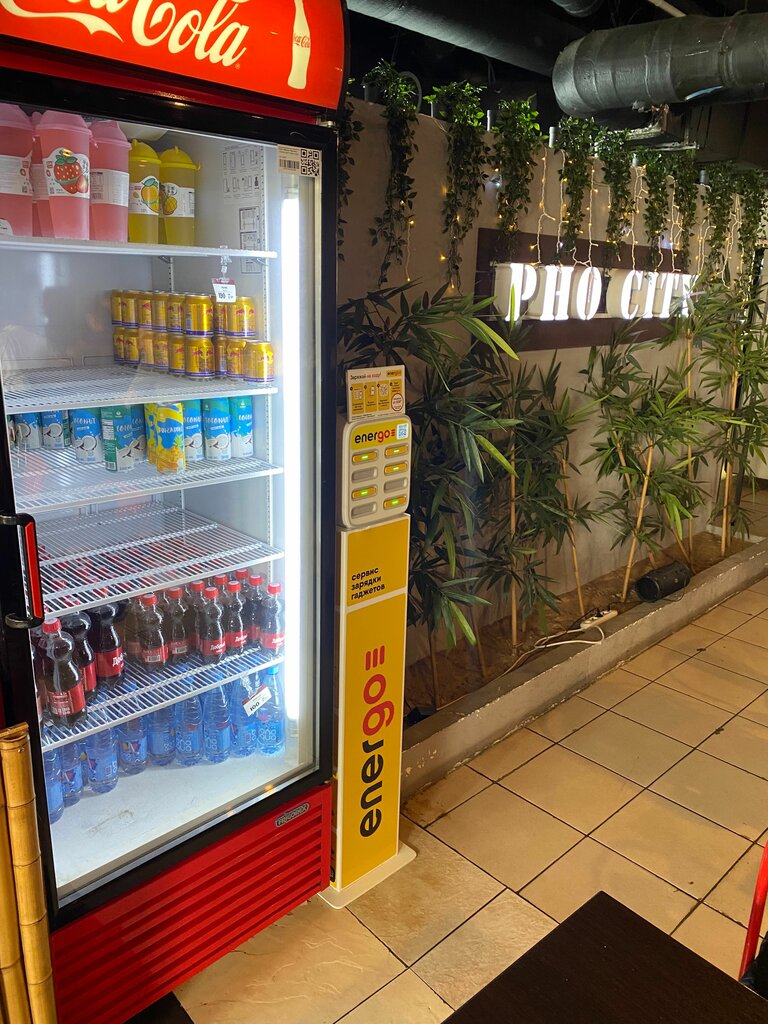 Şarj cihazı kiralama Energo, Moskova, foto