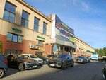 Peco (Levashovskiy Avenue No:13А), sigorta şirketleri  Saint‑Petersburg'dan