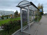 Новогорская улица (St. Petersburg, Lomonosov, Zhory Antonenko Street), toplu taşıma durağı  Lomonosov'dan