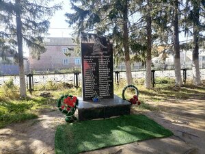 Они сражались за Родину! (Omskiy rayon, Pushkinskoye selskoye poseleniye, derevnya Podgorodka, Zelyonaya ulitsa), anıt, heykel  Omskaya oblastından