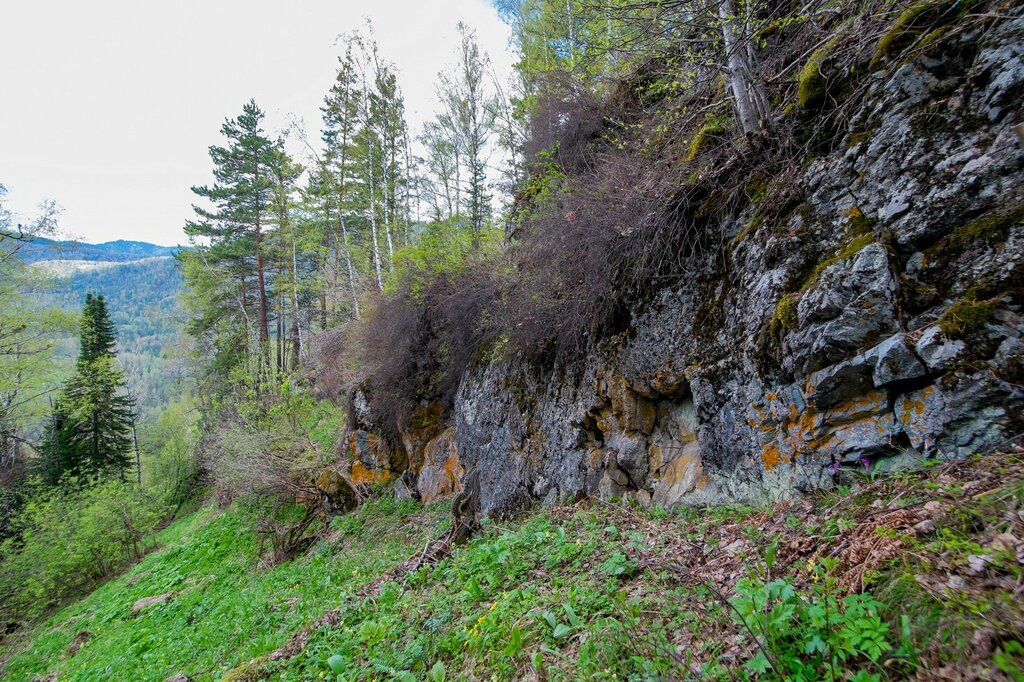 Dağ zirvesi Гора Чачылган, Altay Cumhuriyeti, foto