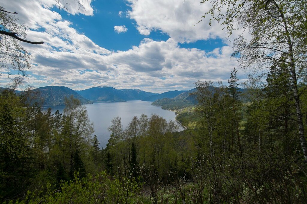 Dağ zirvesi Гора Чачылган, Altay Cumhuriyeti, foto