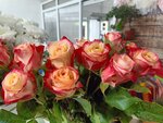 Jardin (Mamyrskaya ulitsa No:99Б, zhiloy rayon Yuzhny Padun), çiçekçiler  Bratsk'tan
