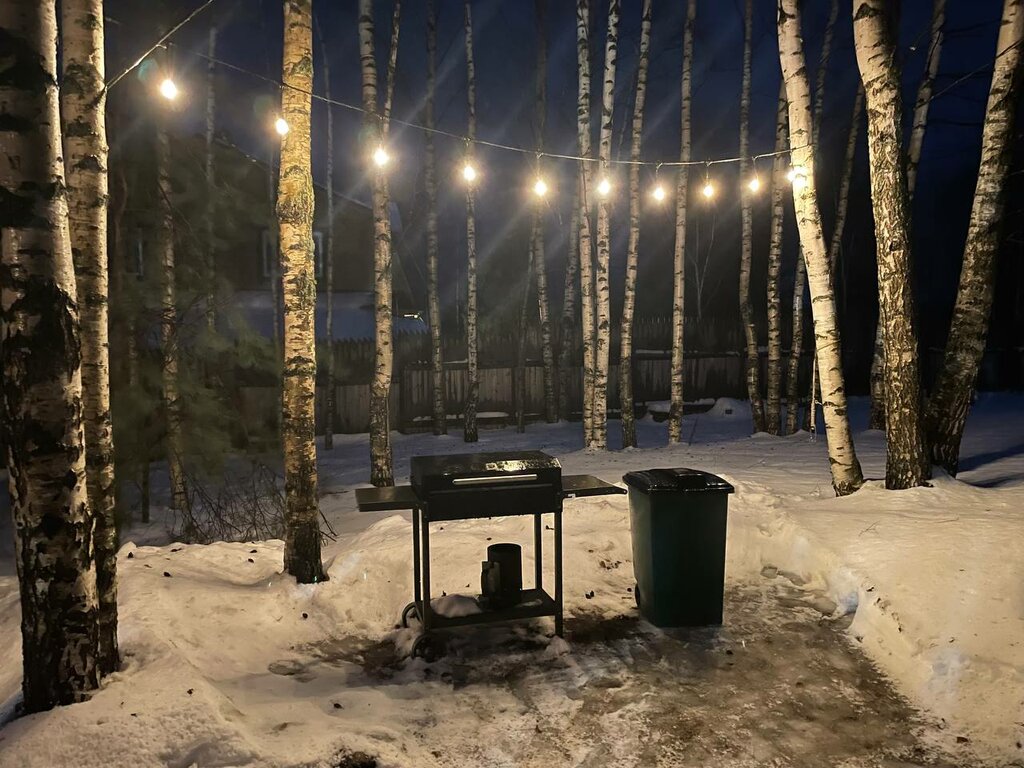 Resort oteller, tesisler Vyazoviki40, Nijegorodskaya oblastı, foto