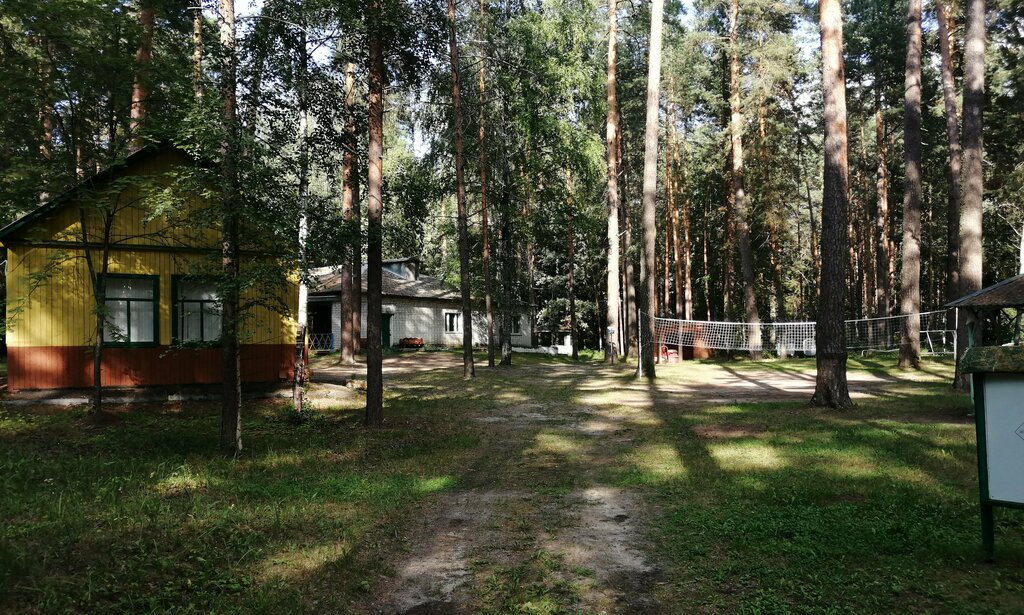 Resort oteller, tesisler Сосновая роща, Nijegorodskaya oblastı, foto