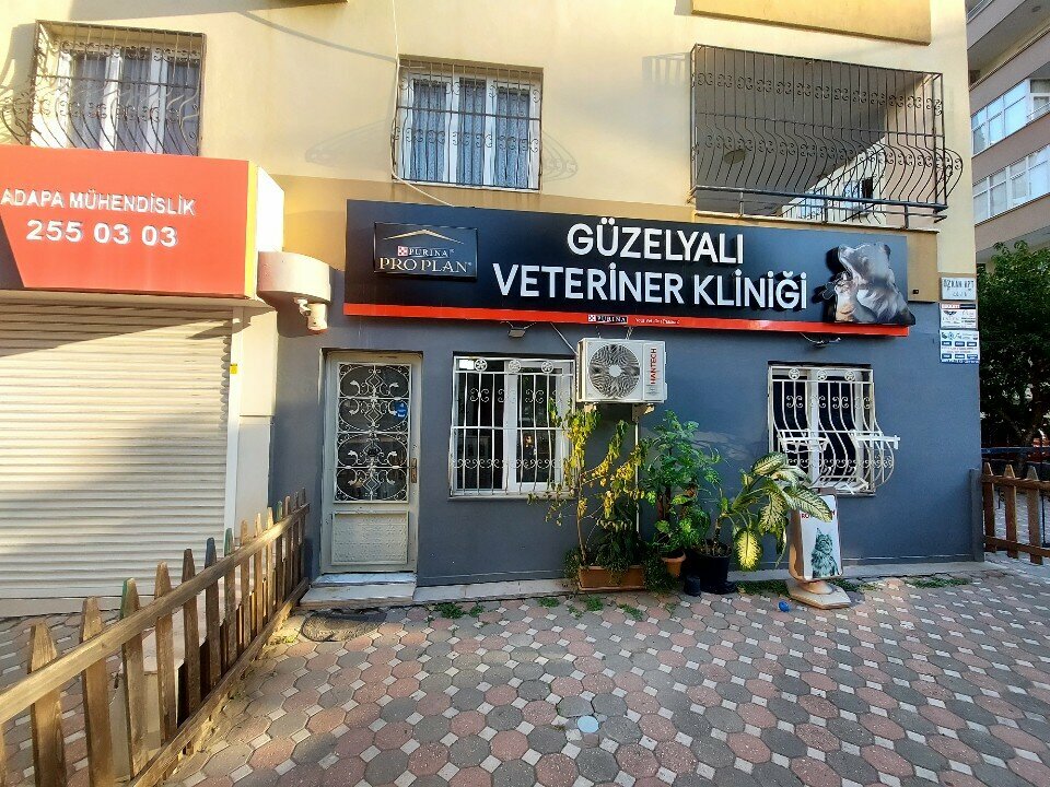 Veteriner klinikleri Güzelyalı veteriner kliniği, Adana, foto