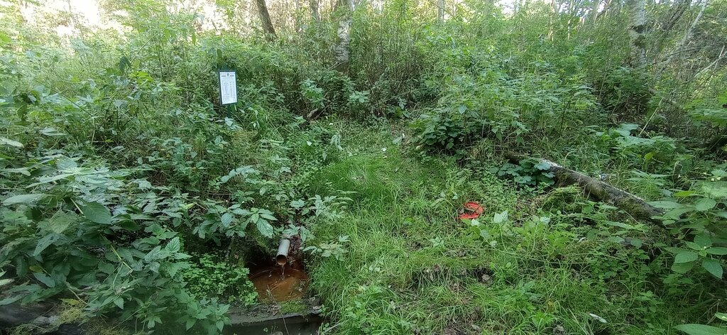 Pınar, çay Spring, stream, Moskova ve Moskovskaya oblastı, foto