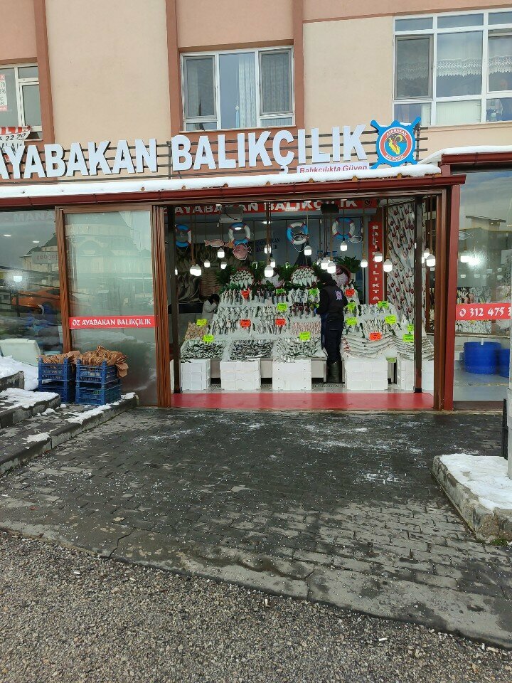 Balık ve deniz ürünleri Öz Ayabakan Balıkçılık, Ankara, foto