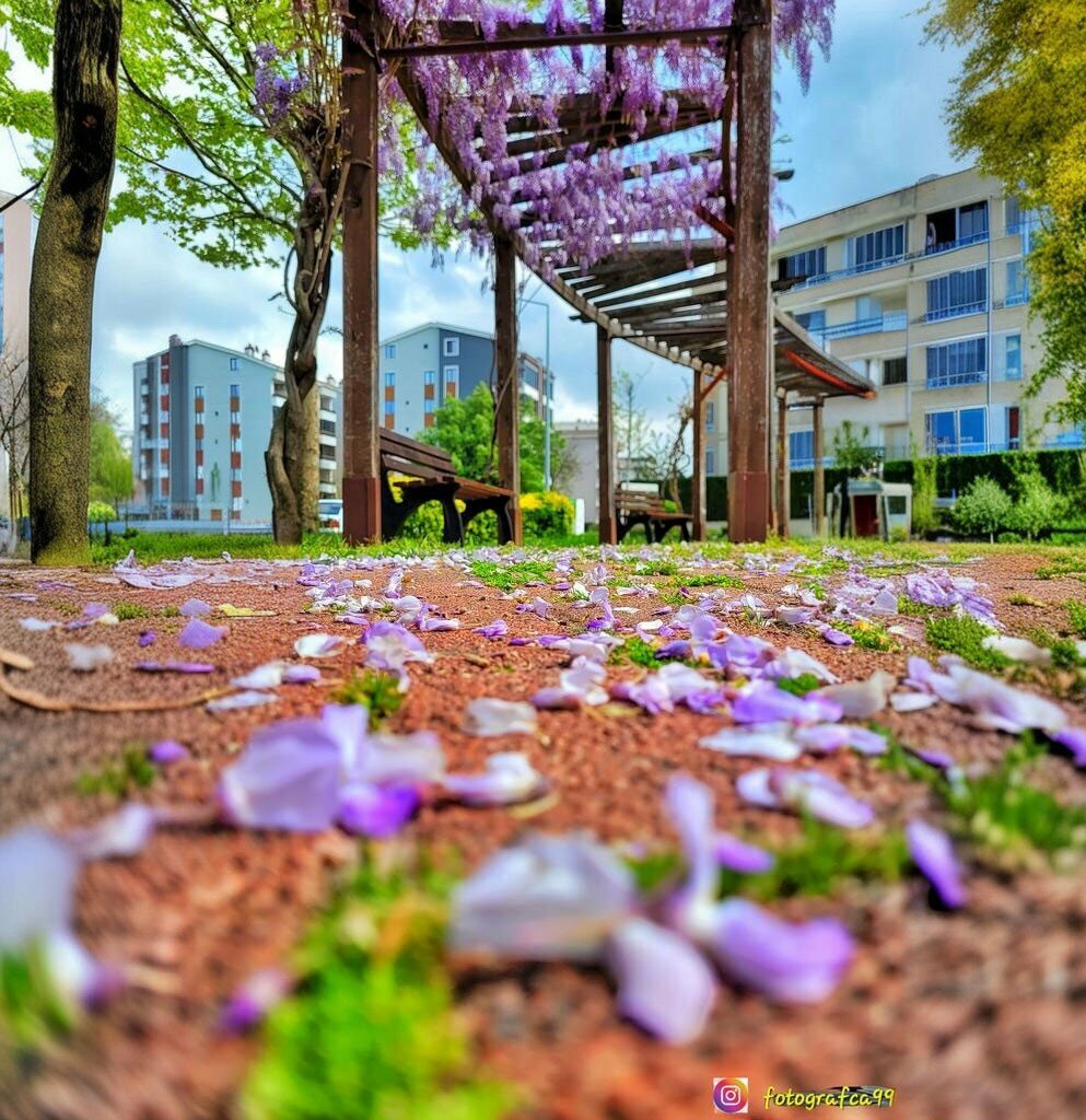Kültür ve eğlence parkları Ezgi Çocuk Parkı, Bursa, foto