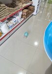 Girne Pet Market (Aydın, Efeler, Girne Mah., Lefkoşe Blv., 19A), petshop  Efeler'den