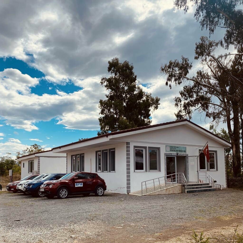 Sürücü kursları Özel Köyceğiz Efe Sürücü Kursu, Köyceğiz, foto