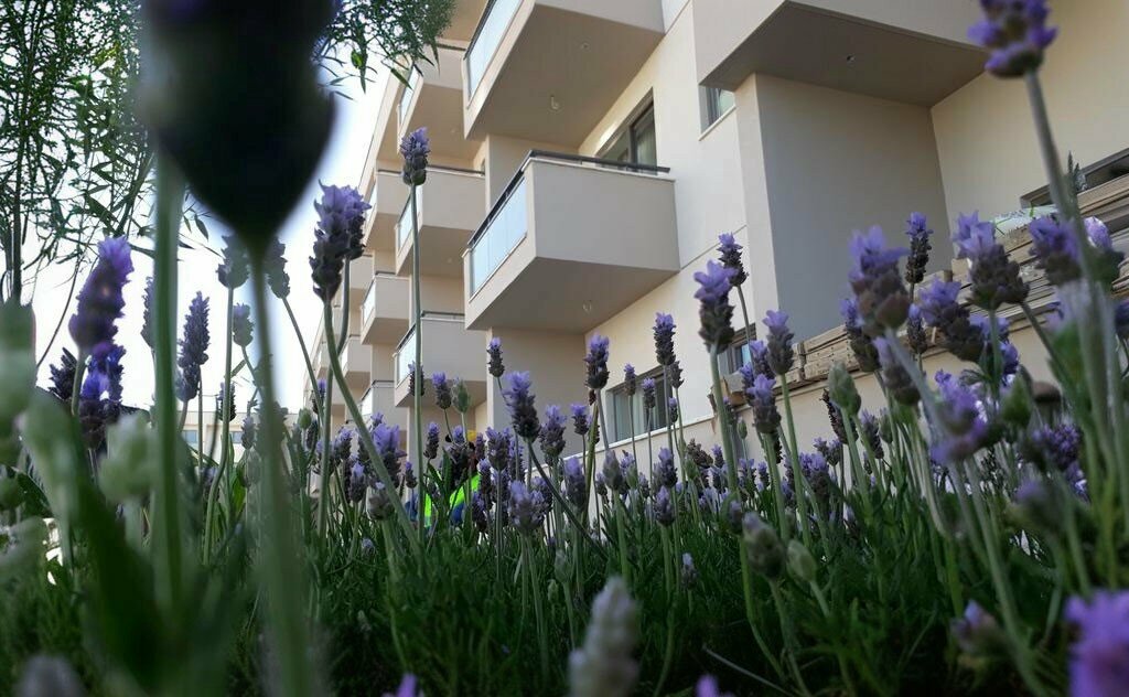 Otel Saruhan Otel, Edremit, foto