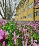 Ankara Üniversitesi Kalecik Meslek Yüksekokulu (Şenyurt Mah., Seyit Ahmet Eşmedereli Sok., No:5/2, Kalecik,Ankara), üniversiteler  Kalecik'ten