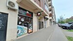 Pet Zone (Ulica Janka Veselinovića No:8), petshop  Novi Sad'dan