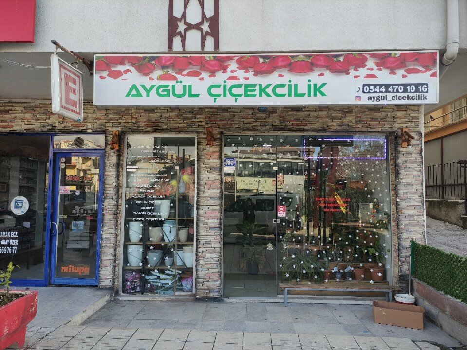 Çiçekçiler Aygül Çiçekçilik, Ankara, foto