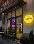 Senica (Despota Stefana Boulevard No:19), kahve dükkanları  Sırbistan'dan