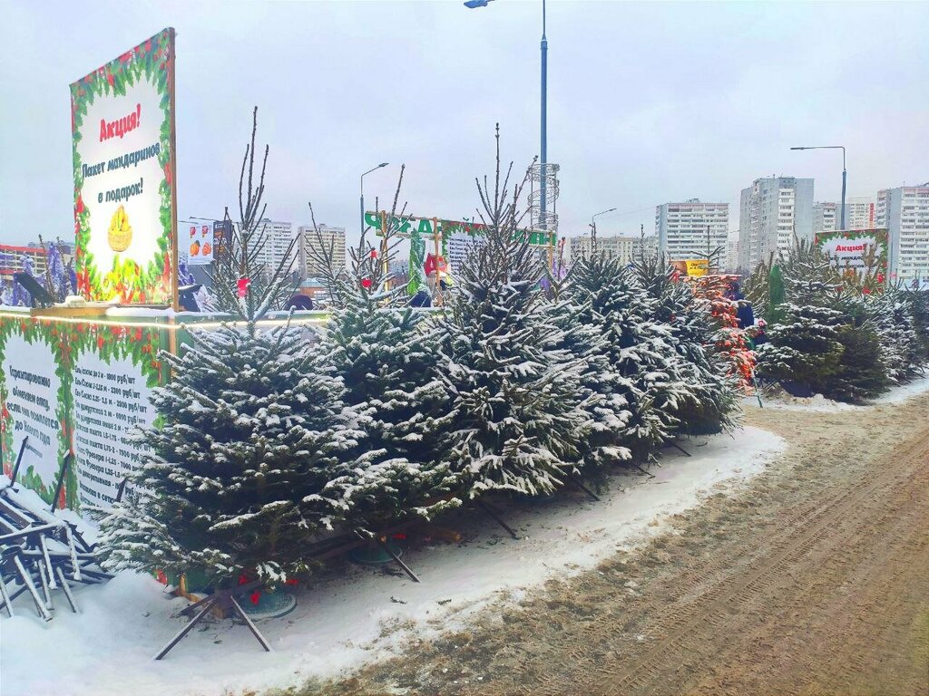 Çam ağacı pazarı 1000 и 1 Ёлка пункт выдачи заказов, Moskova, foto