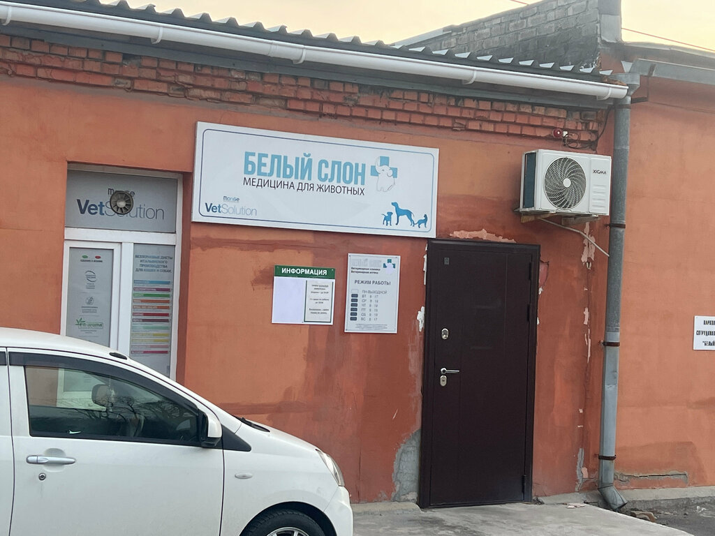 Veteriner klinikleri Белый слон, Vladivostok, foto