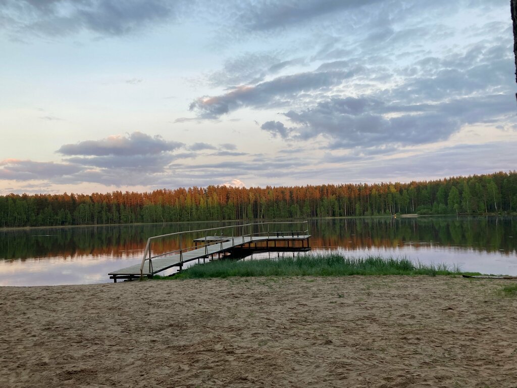 Bahçecilik dernekleri ve kuruluşları СНТ Здоровье, Saint‑Petersburg ve Leningradskaya oblastı, foto