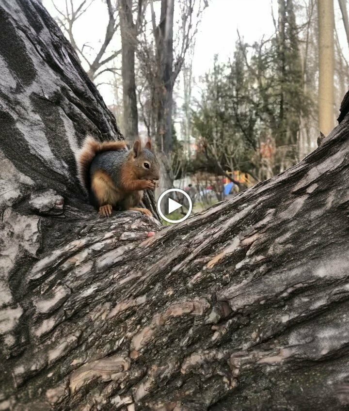 Kültür ve eğlence parkları Gölbaşı Seğmenler Parkı, Ankara, foto