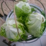 Adıyaman Ciğköftecisi (Trabzon, Ortahisar, Uzun Sok., 70C), restoran  Ortahisar'dan