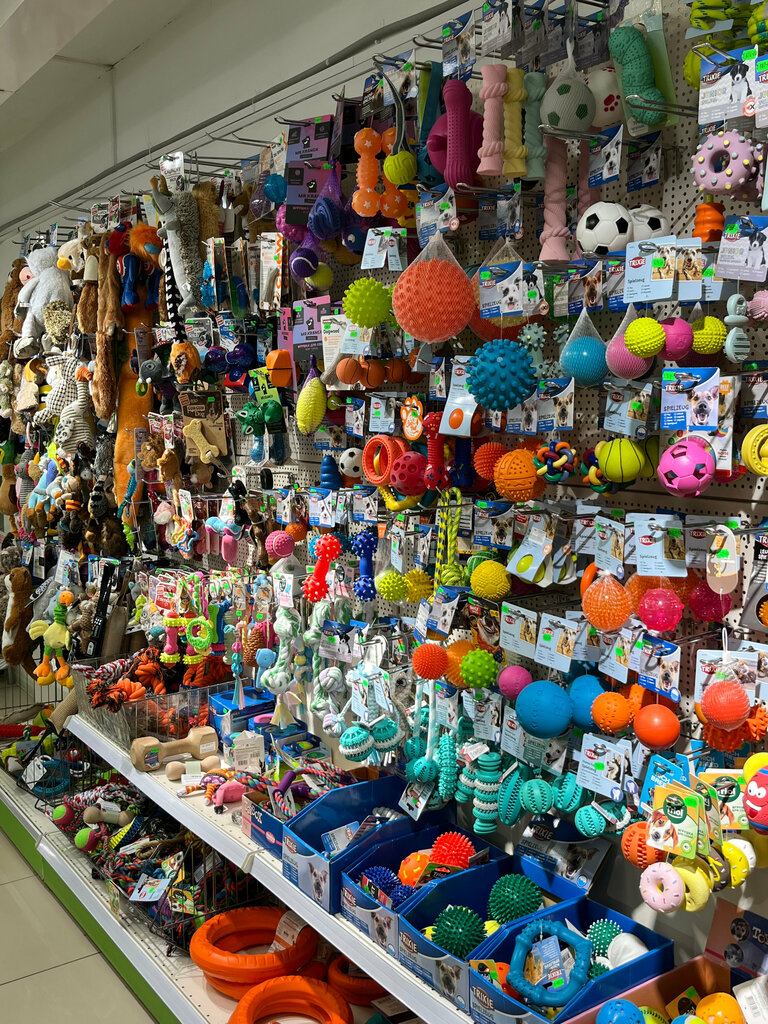 Petshop Planeta Zoo, Tomsk, foto