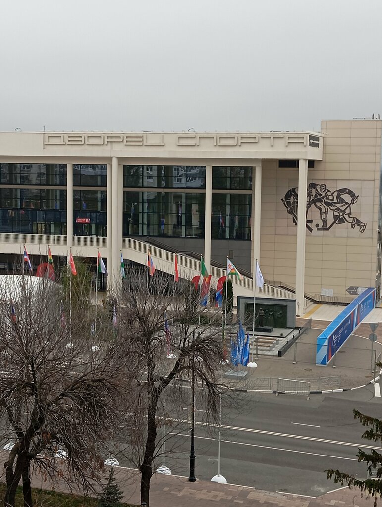 Yayınevleri, yayıncılar Mezhdunarodny forum Sportivnaya Derzhava, Moskova, foto