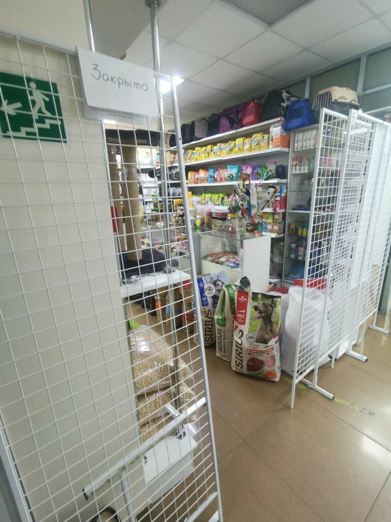 Petshop Мое зверье, Pskov, foto