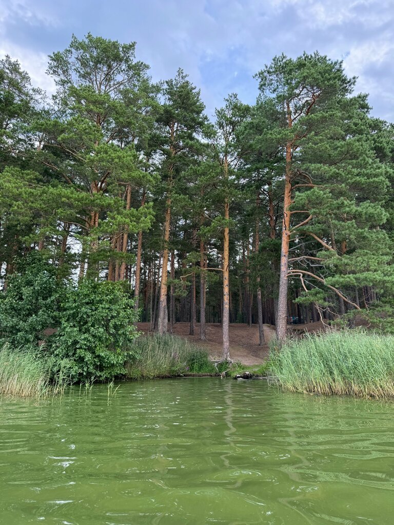 Tatil köyleri ФГБУ Национальный парк Припышминские боры, Sverdlovskaya oblastı, foto