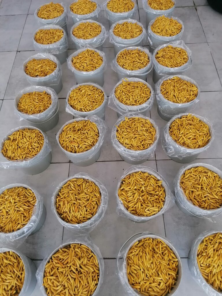 Toptan gıda mağazaları Yaren Gıda, Bursa, foto