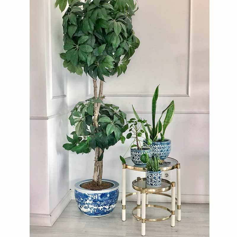 Ev eşyası mağazaları Design State Home & Events, İstanbul, foto