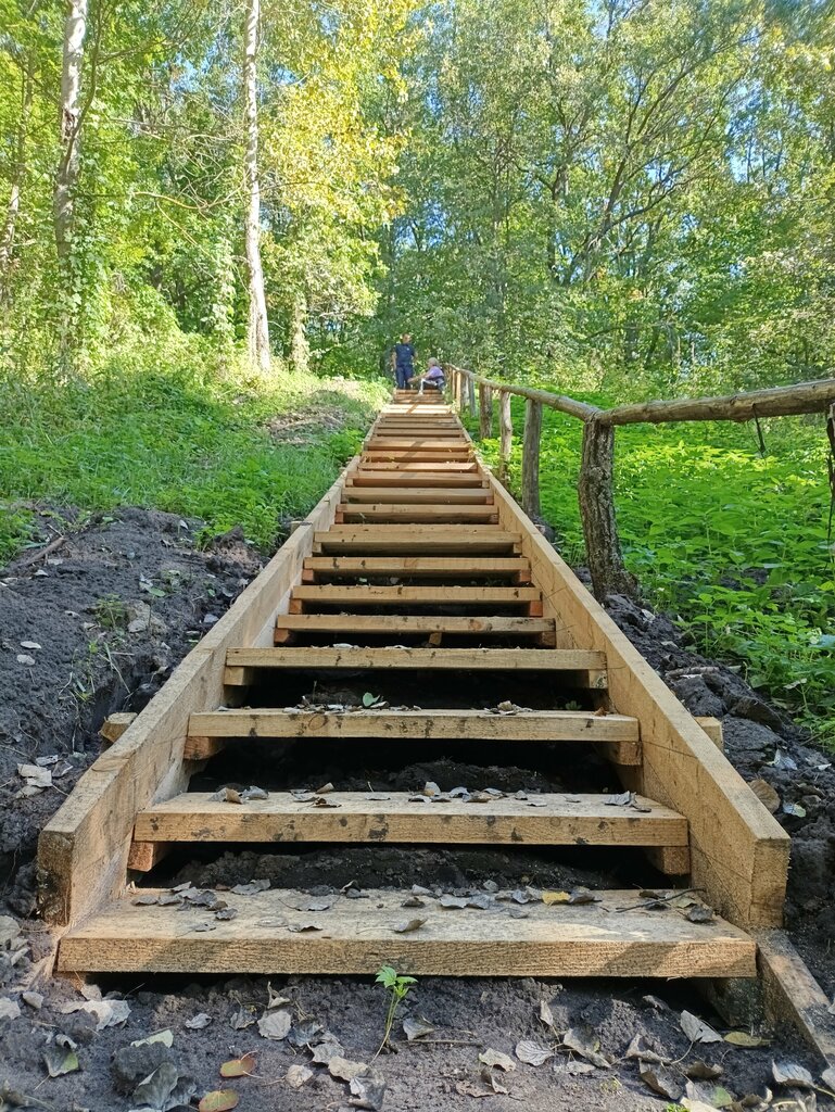 Şapel, haç anıtı Муранская часовня Пресвятой Богородицы, Samarskaya oblastı, foto