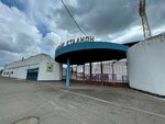 Central Stadium (Pavlodar), stadyum  Pavlodar'dan