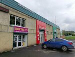 Цветы из Голландии (Initsiativnaya ulitsa No:57/2), çiçekçiler  Kemerovo'dan