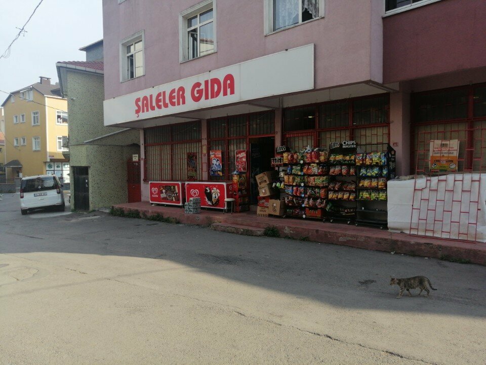 Market Şaleler Gıda, İstanbul, foto