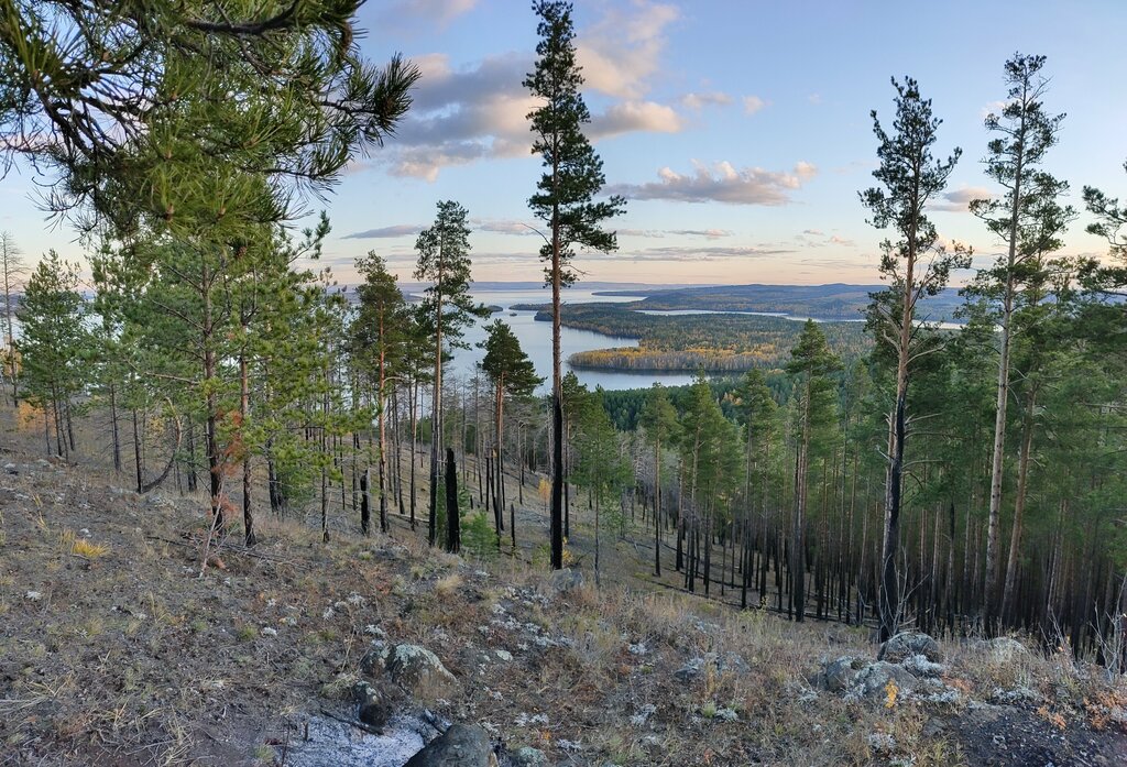 Piknik alanı Place for picnic, Ust‑Ilimsk, foto