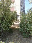 Мелодия Плюс (Vracha Surova Avenue No:1), ses ve video cihazlarının tamiri  Ulyanovsk'tan