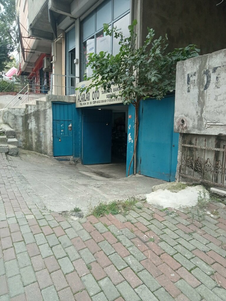 Otomobil servisi Acarlar Oto, İstanbul, foto